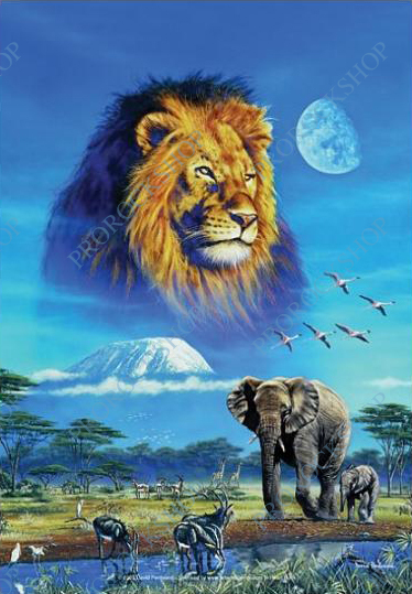 plakát, vlajka lev - Afrika - ProRockShop