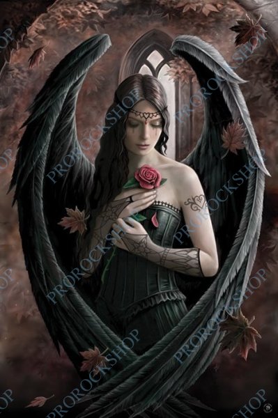 plakát Anne Stokes - Angel Rose - ProRockShop